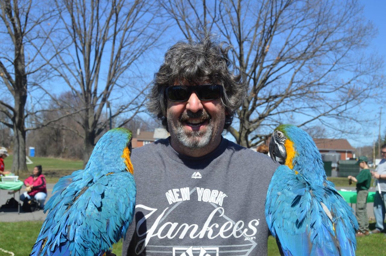 About - Dan Furman's Clear Writing