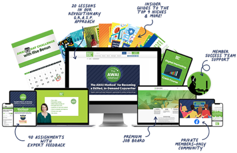 AWAI-Review - Dan Furman's Clear Writing